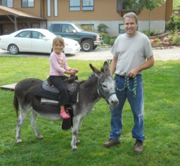 Uses For Miniature Donkeys - Sunny G Acres