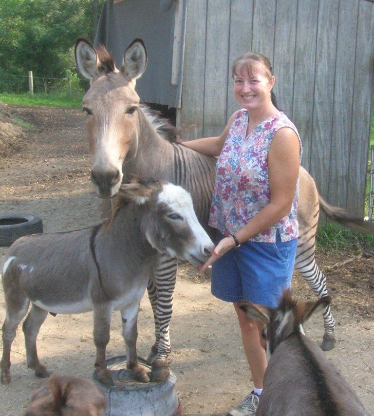 Uses For Miniature Donkeys - Sunny G Acres